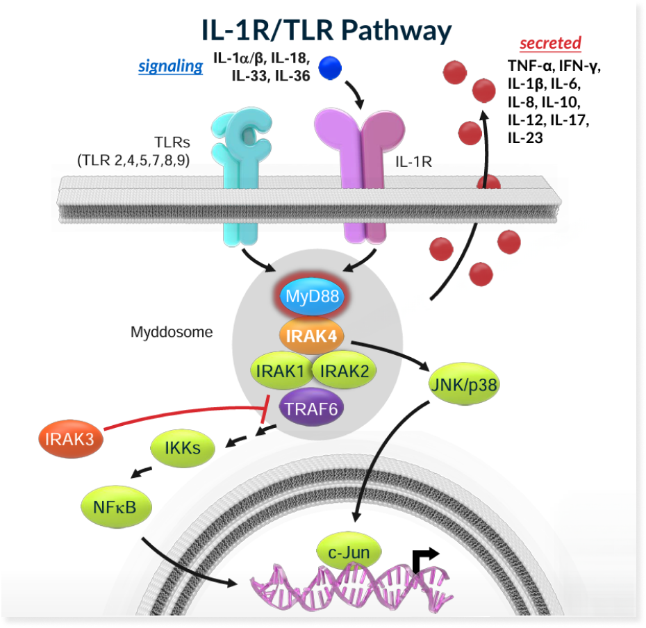 Resource Library | Kymera Therapeutics