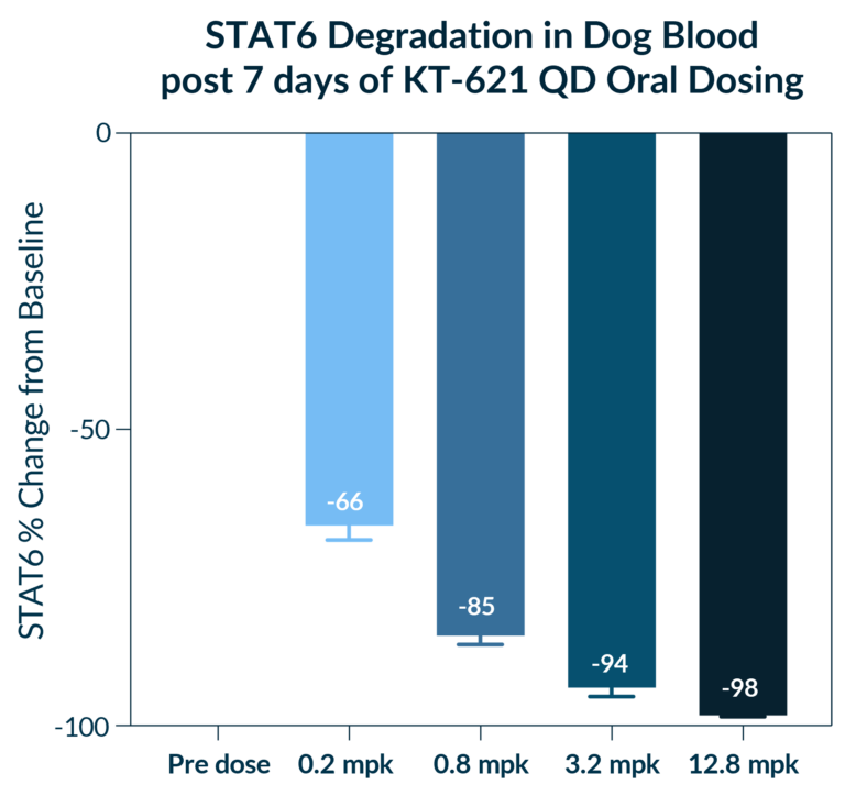 STAT6 Degradation: A Paradigm Shift in Immunology | Kymera Therapeutics